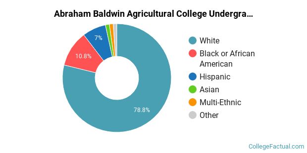 Abraham Baldwin Agricultural College Diversity: Racial Demographics ...