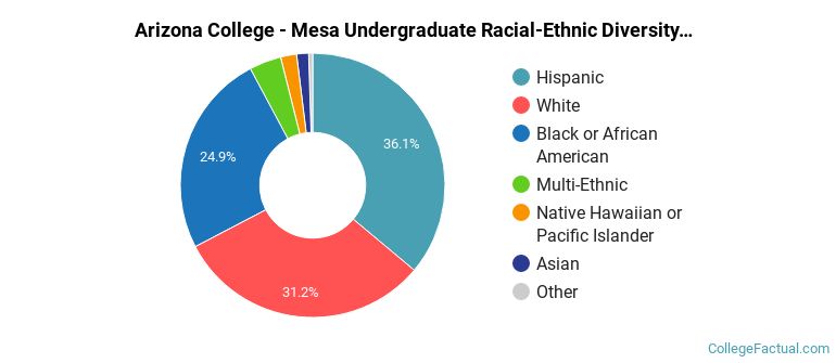 Arizona College - Mesa Diversity: Racial Demographics & Other Stats