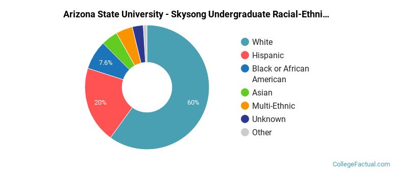 Arizona State University - Skysong Diversity: Racial Demographics ...