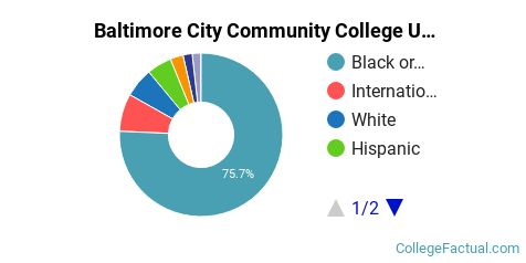 Baltimore City Community College Diversity: Racial Demographics & Other ...
