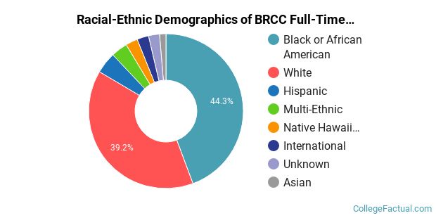 Baton Rouge Community College Diversity: Racial Demographics & Other Stats