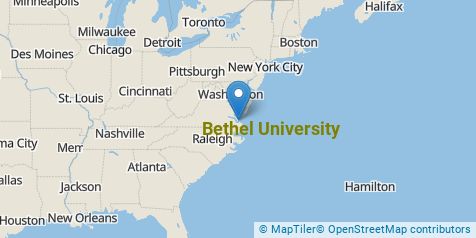 Bethel University Overview