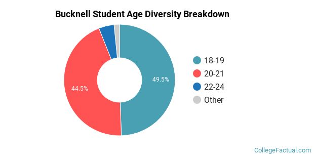 Bucknell University Diversity: Racial Demographics & Other Stats