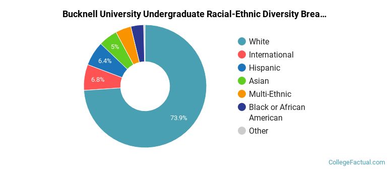 Bucknell University Diversity: Racial Demographics & Other Stats ...