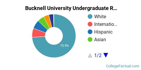 Bucknell University Diversity: Racial Demographics & Other Stats ...
