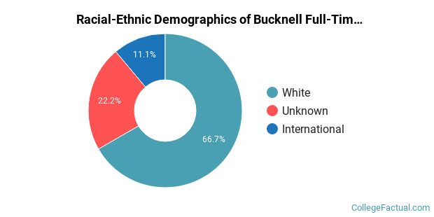 Bucknell University Diversity: Racial Demographics & Other Stats