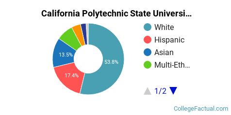 California Polytechnic State University - San Luis Obispo Diversity ...
