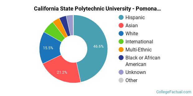 California State Polytechnic University - Pomona Diversity: Racial ...