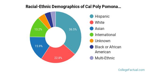 California State Polytechnic University - Pomona Diversity: Racial ...