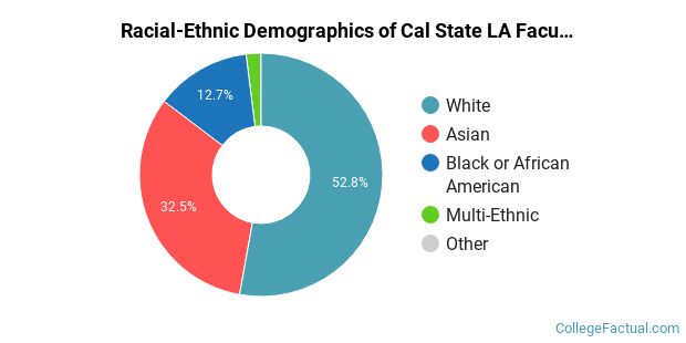 California State University - Los Angeles Diversity: Racial ...