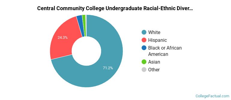 Central Community College Diversity: Racial Demographics & Other Stats