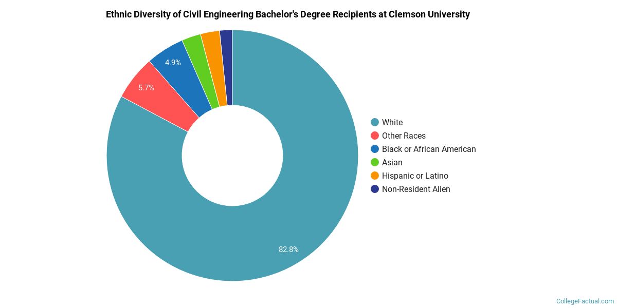 The Civil Eng Major at Clemson University