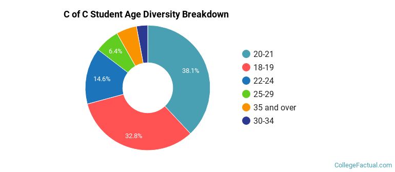 College of Charleston Diversity: Racial Demographics & Other Stats