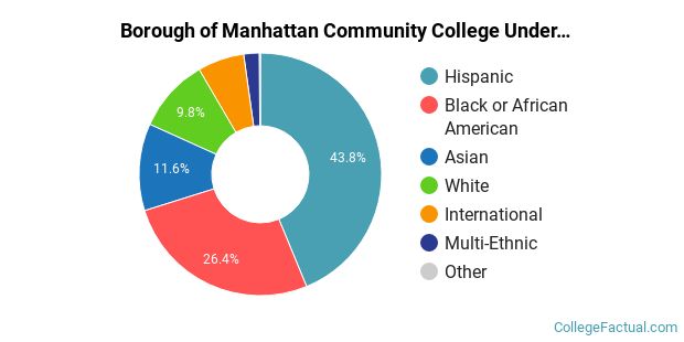 Borough of Manhattan Community College Diversity: Racial Demographics ...