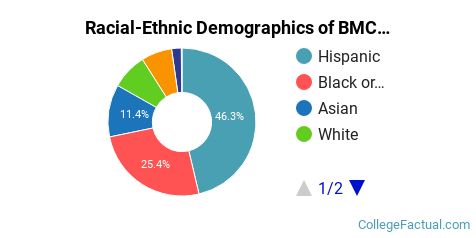 Borough of Manhattan Community College Diversity: Racial Demographics ...
