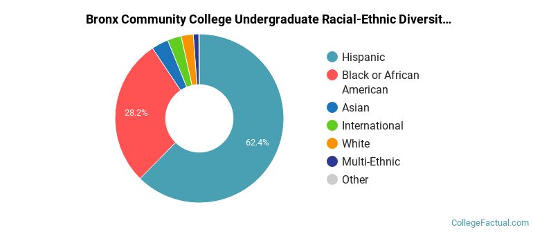 Bronx Community College Diversity: Racial Demographics & Other Stats