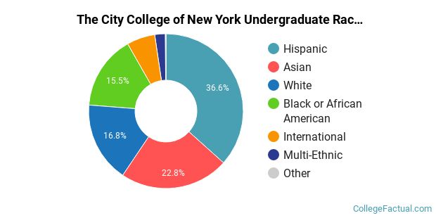 The City College of New York Diversity: Racial Demographics & Other Stats