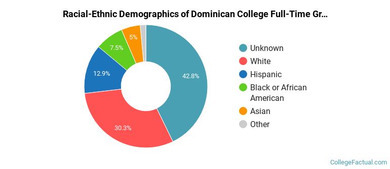 Dominican College of Blauvelt Diversity: Racial Demographics & Other Stats