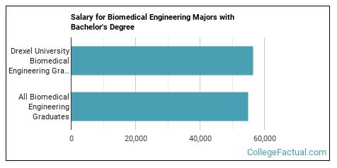 The Bio Engineering Major at Drexel University