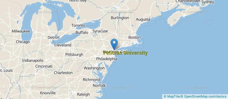 Felician University Overview