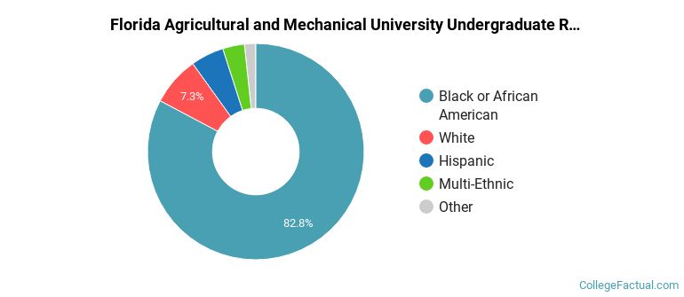 Florida Agricultural and Mechanical University Diversity: Racial ...