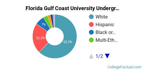 Florida Gulf Coast University Diversity: Racial Demographics & Other Stats