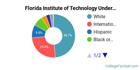 Florida Institute of Technology Diversity: Racial Demographics & Other ...
