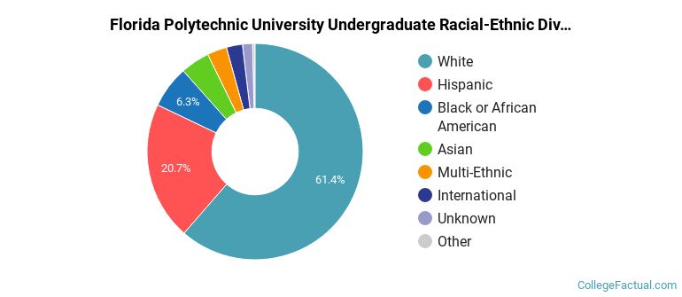 Florida Polytechnic University Diversity: Racial Demographics & Other Stats