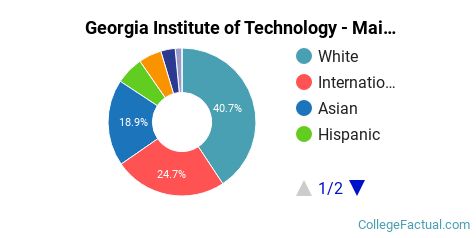 Georgia Institute of Technology - Main Campus Diversity: Racial ...