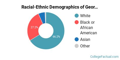 Georgia Institute of Technology - Main Campus Diversity: Racial ...