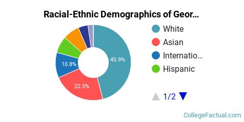 Georgia Institute of Technology - Main Campus Diversity: Racial ...