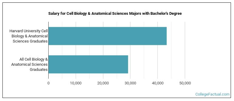 The Cell Biology Major at Harvard University
