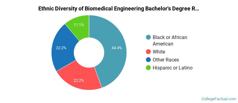 The Bio Engineering Major at Harvard University