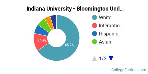 Indiana University - Bloomington Diversity: Racial Demographics & Other ...