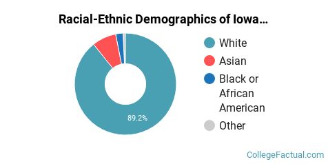 Iowa State University Diversity: Racial Demographics & Other Stats
