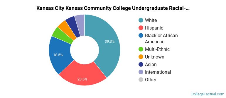 Kansas City Kansas Community College Diversity: Racial Demographics ...