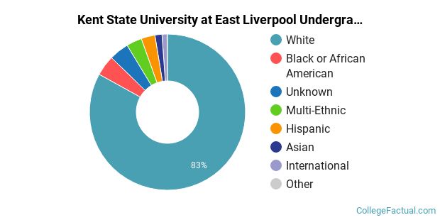 Kent State University at East Liverpool Diversity: Racial Demographics ...