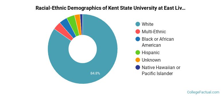 Kent State University at East Liverpool Diversity: Racial Demographics ...