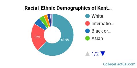 Kent State University at Kent Diversity: Racial Demographics & Other Stats