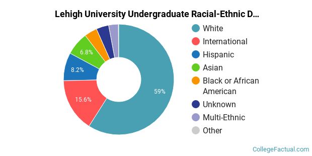 Lehigh University Diversity: Racial Demographics & Other Stats