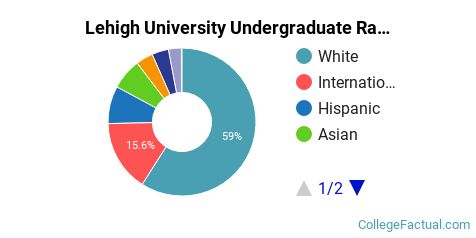 Lehigh University Diversity: Racial Demographics & Other Stats