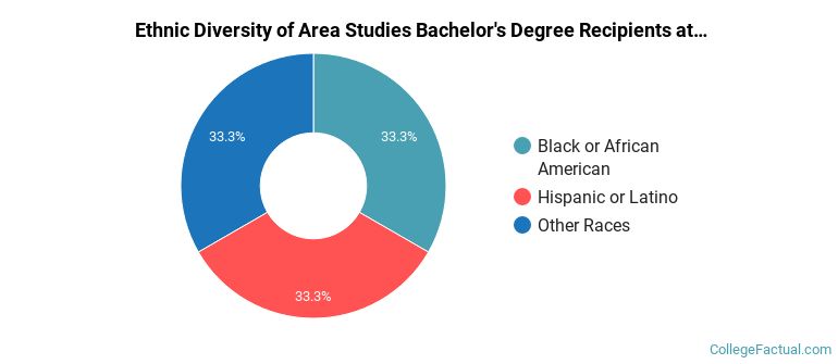 The Area Studies Major at Loyola Marymount University