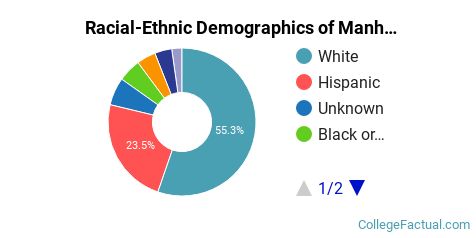 Manhattan College Diversity: Racial Demographics & Other Stats