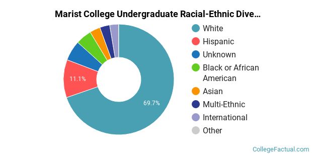Marist College Diversity: Racial Demographics & Other Stats