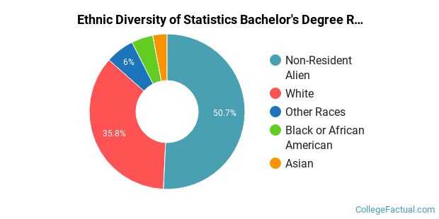 The Stats Major at Michigan State University