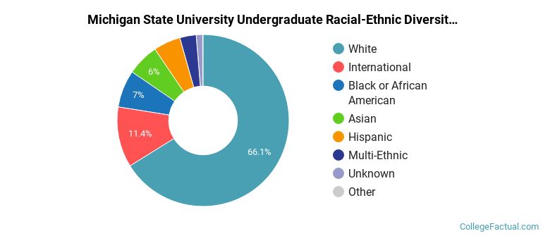 Michigan State University Diversity: Racial Demographics & Other Stats