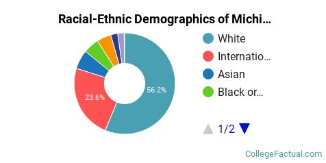 Michigan State University Diversity: Racial Demographics & Other Stats