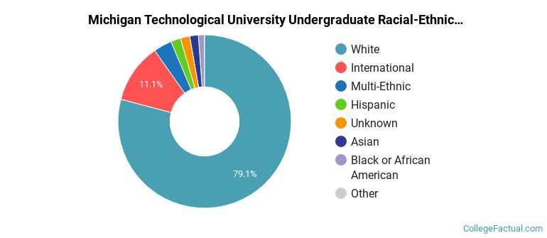 Michigan Technological University Diversity: Racial Demographics ...