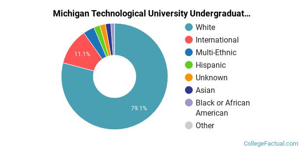 Michigan Technological University Diversity: Racial Demographics ...