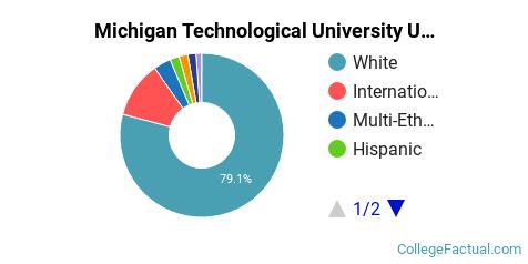 Michigan Technological University Diversity: Racial Demographics ...